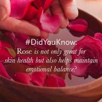 6 Rose Benefits For Skin & Best Rose Skincare Products - Kama Ayurveda
