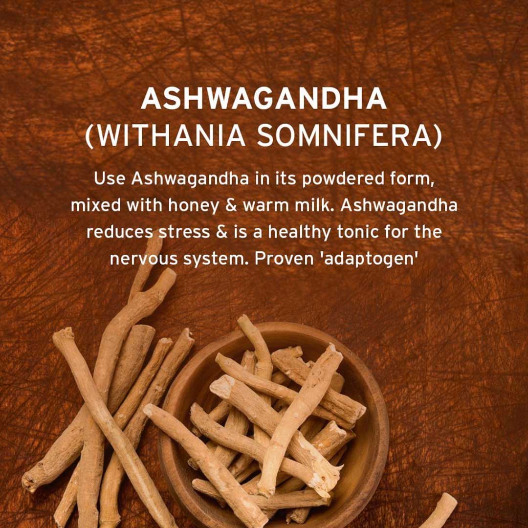 Powerful Benefits of Ashwagandha: Uses, Benefits - Kama Ayurveda
